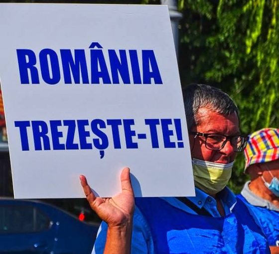 Despre LUP – lupromania.ro